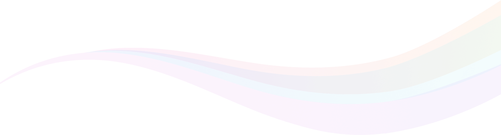 We Next Coder – Web Application Development & SEO for Business Growth